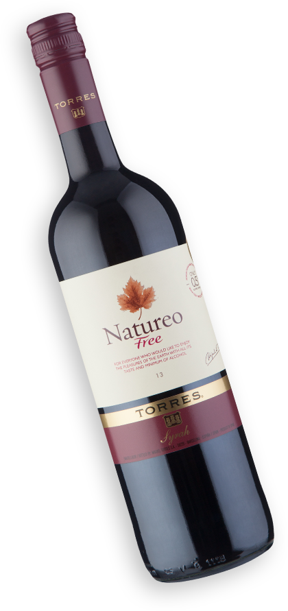 Miguel Torres Natureo Syrah 2013 - Wine