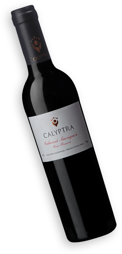 Calyptra Gran Reserva Cabernet Sauvignon 2012 375ml - Wine