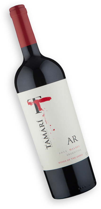 Tamarí Ar Gran Reserva Malbec 2013 - Wine