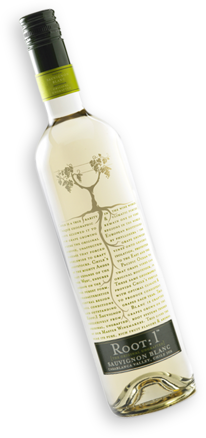 Root: 1 Sauvignon Blanc 2016 - Wine