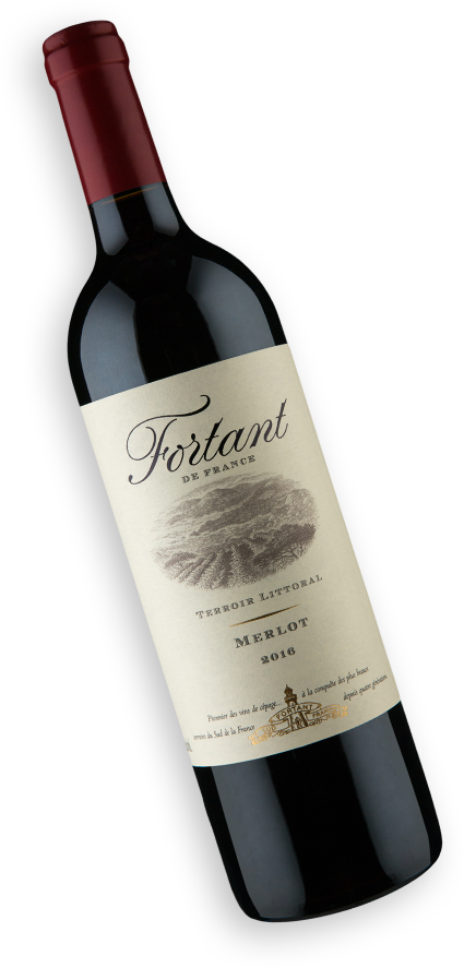 Fortant de France Terroir Littoral I.G.P. Pays d'Oc Merlot 2016 - Wine