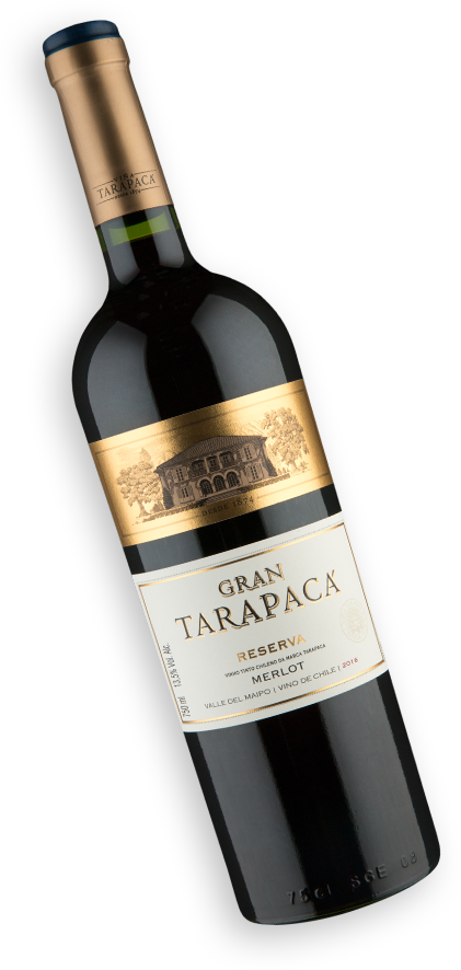 Gran Tarapacá Reserva Merlot 2016 - Wine