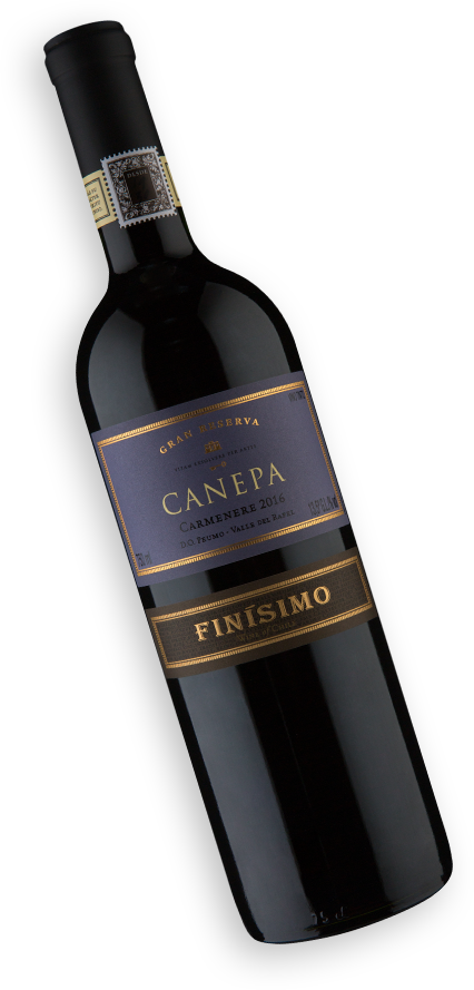 Canepa Finísimo Gran Reserva Carménère 2016 - Wine | Wine