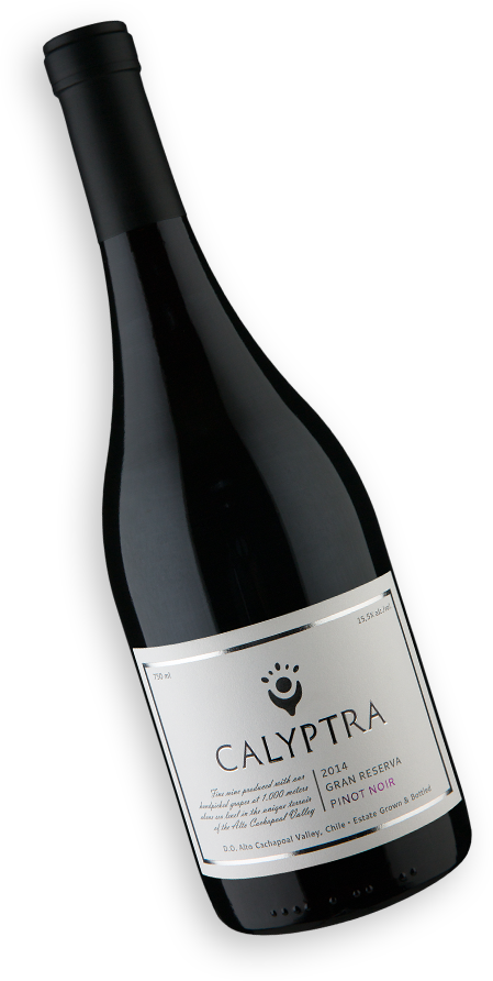 Calyptra Gran Reserva D.O. Alto Cachapoal Valley Pinot Noir 2014 - Wine
