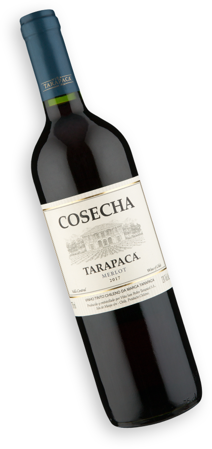 Viña Tarapacá Cosecha Valle Central Merlot 2017 - Wine
