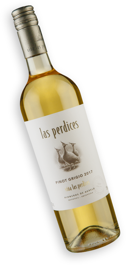Las Perdices Mendoza Pinot Grigio 2017 - Wine