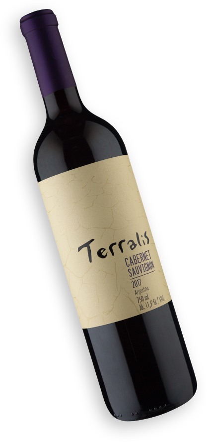 Terralis Cabernet Sauvignon 2017 - Wine | Wine