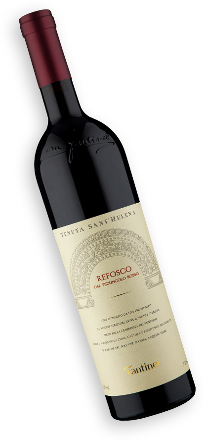 Fantinel I.G.T. Delle Venezie Refosco dal Peduncolo Rosso 2013 - Wine