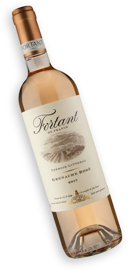 Fortant De France Terroir Littoral Grenache Rosé 2017 - Wine | Wine