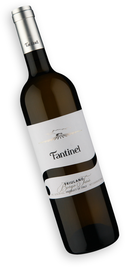 Fantinel Friulano Borgo Tesis Doc Friuli Branco 2017 - Wine