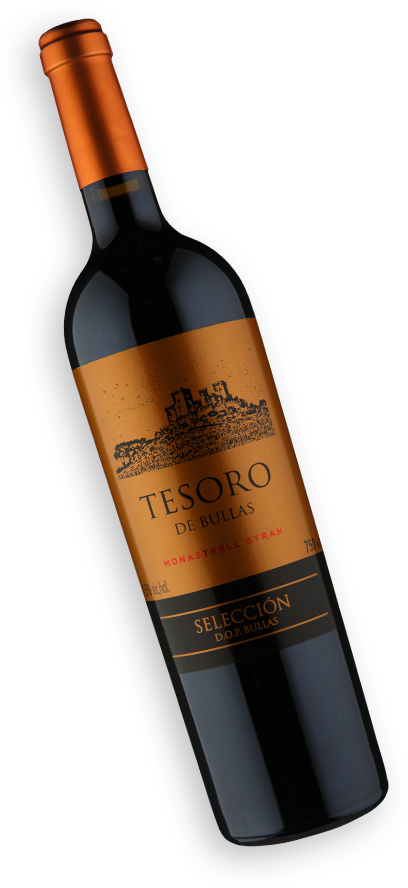 Tesoro de Bullas Selección Monastrell Syrah 2014 - Wine