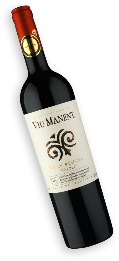 Viu Manent Gran Reserva Malbec 2016 - Wine