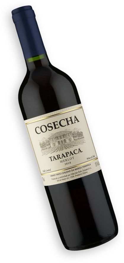 Viña Tarapacá Cosecha Merlot 2018 - Wine