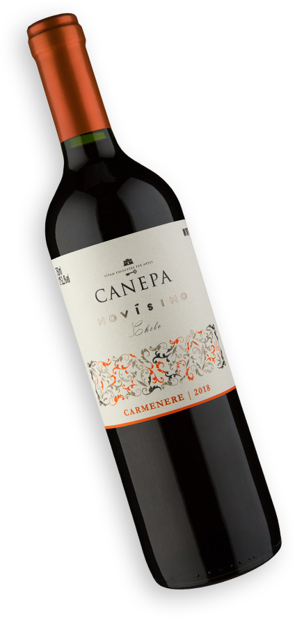 Canepa Novísimo Carménère 2018 - Wine | Wine