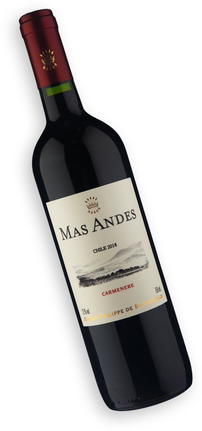 Baron Philippe de Rothschild Mas Andes Carménère 2018 - Wine