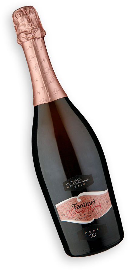 Espumante Fantinel One & Only Rosé Brut 2018 - Wine