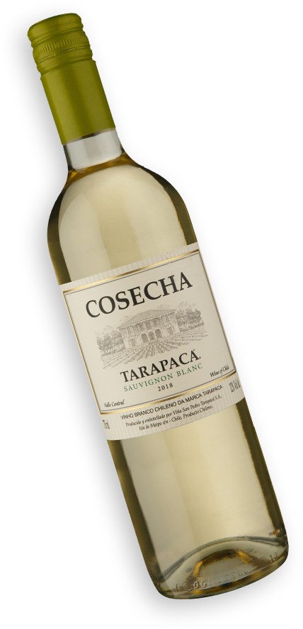 Tarapacá Cosecha Sauvignon Blanc 2018 - Wine