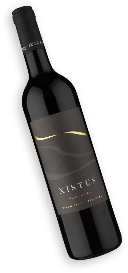 Xistus Tinto - Wine | Wine