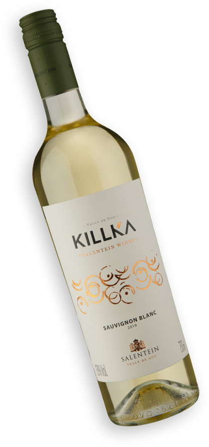 Salentein Killka Sauvignon Blanc 2019 - Wine