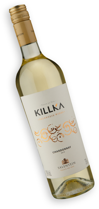 Salentein Killka Chardonnay 2019 - Wine | Wine