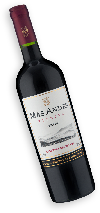 Baron Philippe de Rothschild Mas Andes Reserva Cabernet Sauvignon 2017 ...