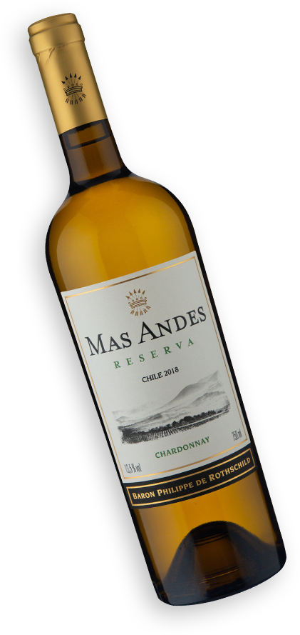 Baron Philippe de Rothschild Mas Andes Reserva Chardonnay 2018 - Wine ...