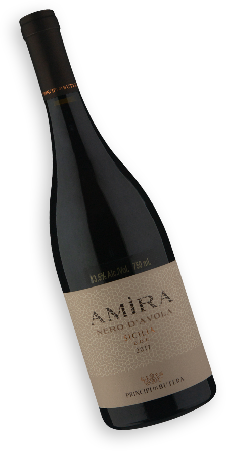 Amìra D.O.C. Sicilia Nero D Avola 2017 - Wine | Wine
