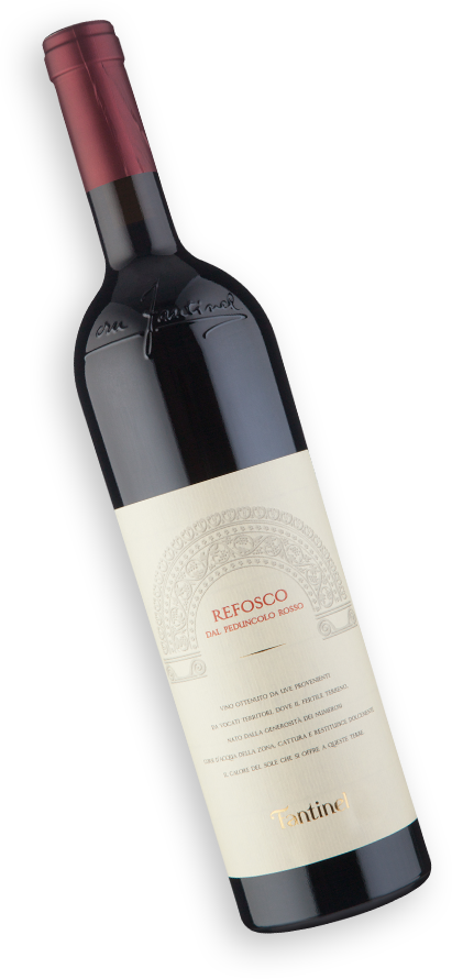 Fantinel Refosco Igt Delle Venezie 2010 - Wine