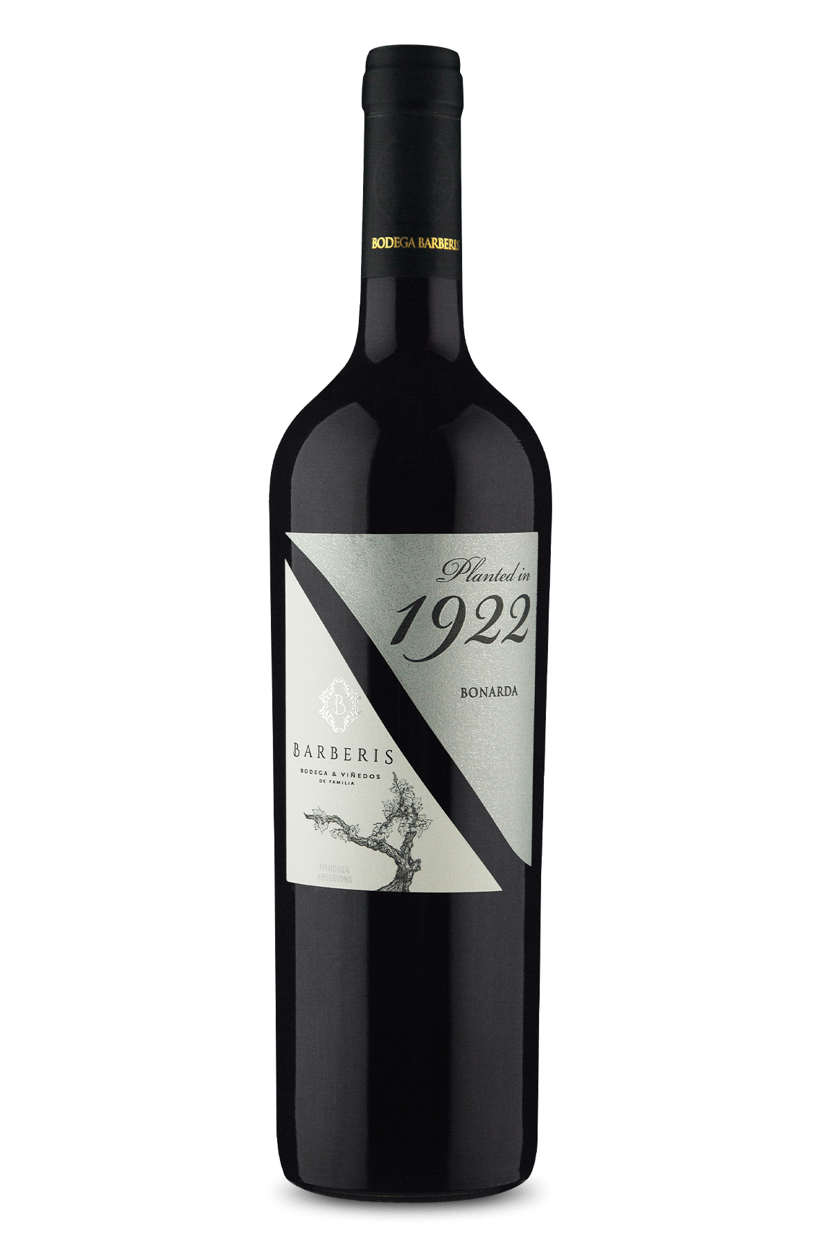 1922 Bonarda 2020 - Wine | Wine