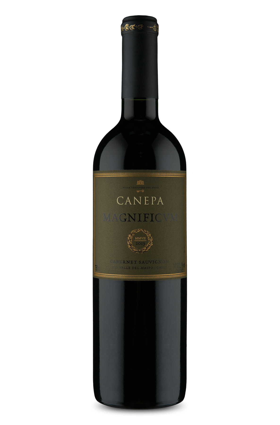 Canepa Magnificum D.O. Valle del Maipo Cabernet Sauvignon 2013 - Wine ...