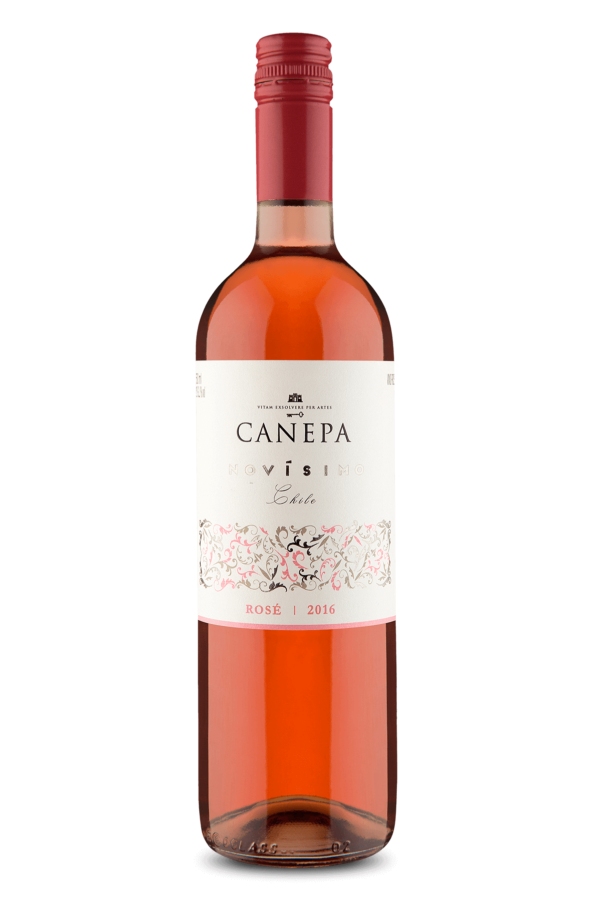 Canepa Novisimo Rose 2016 - Wine | Wine