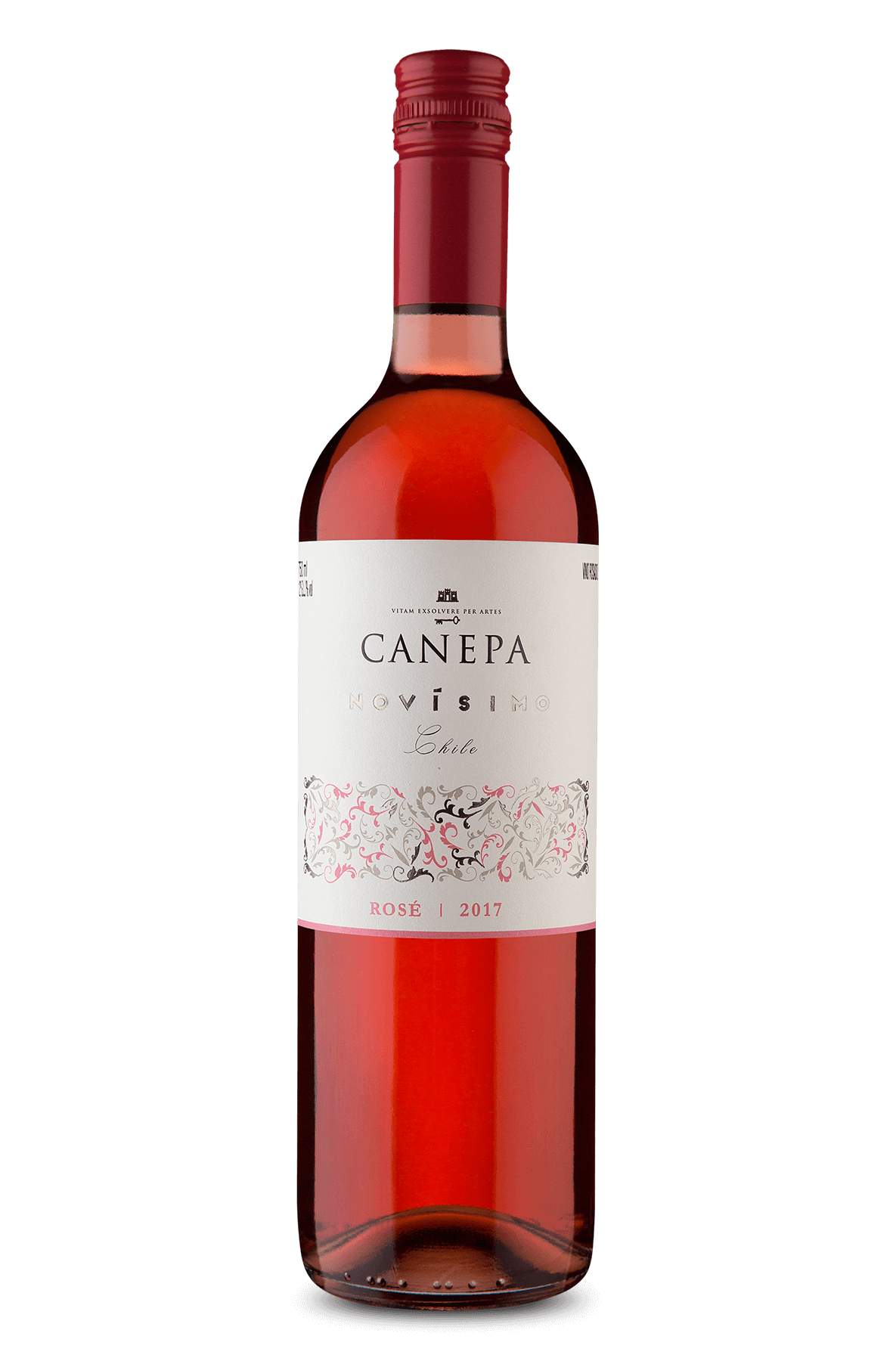 Canepa Novísimo Rosé 2017 - Wine | Wine