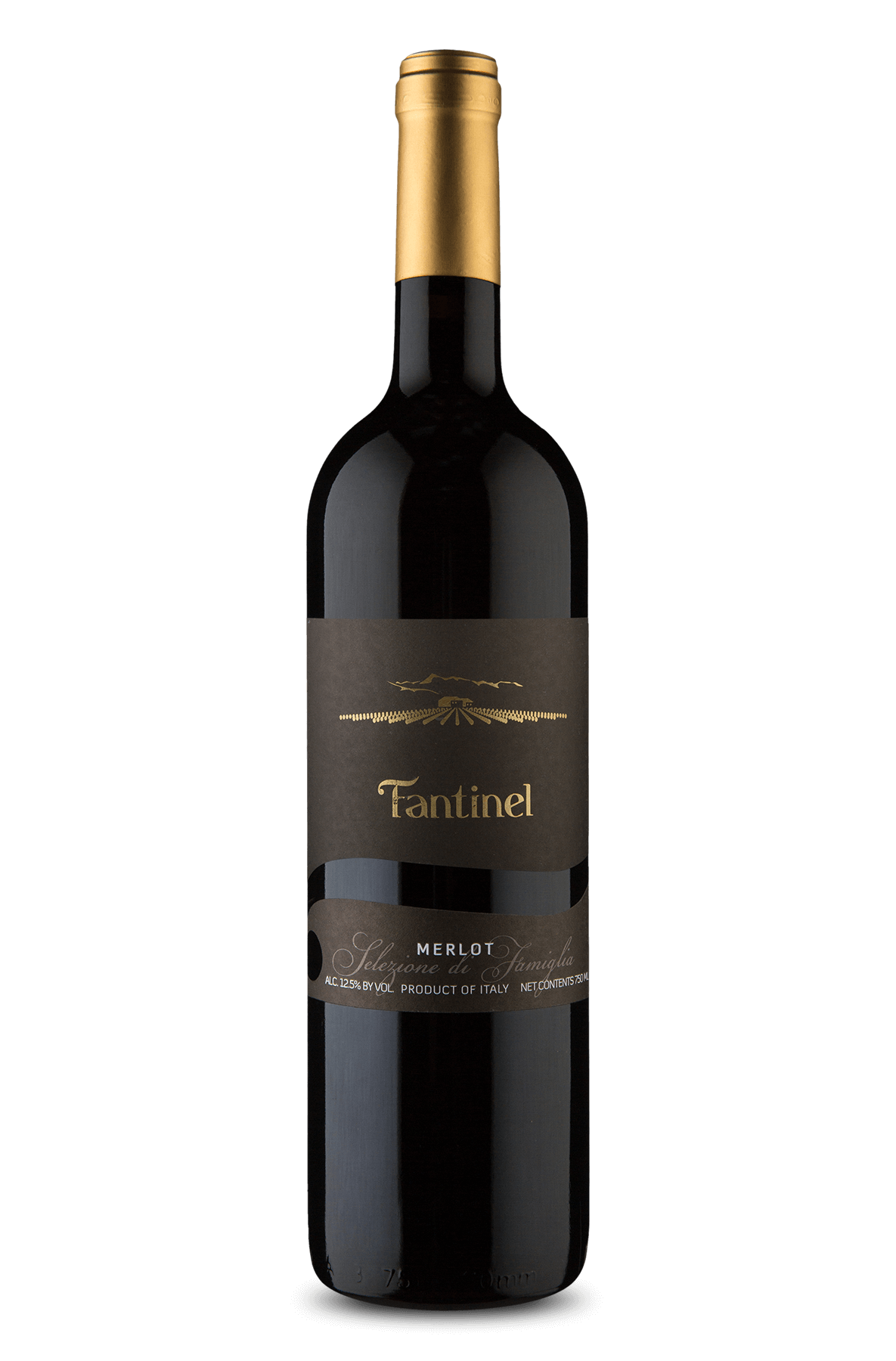 Fantinel Selezione di Famiglia D.O.C. Friuli Grave Merlot 2015 - Wine ...