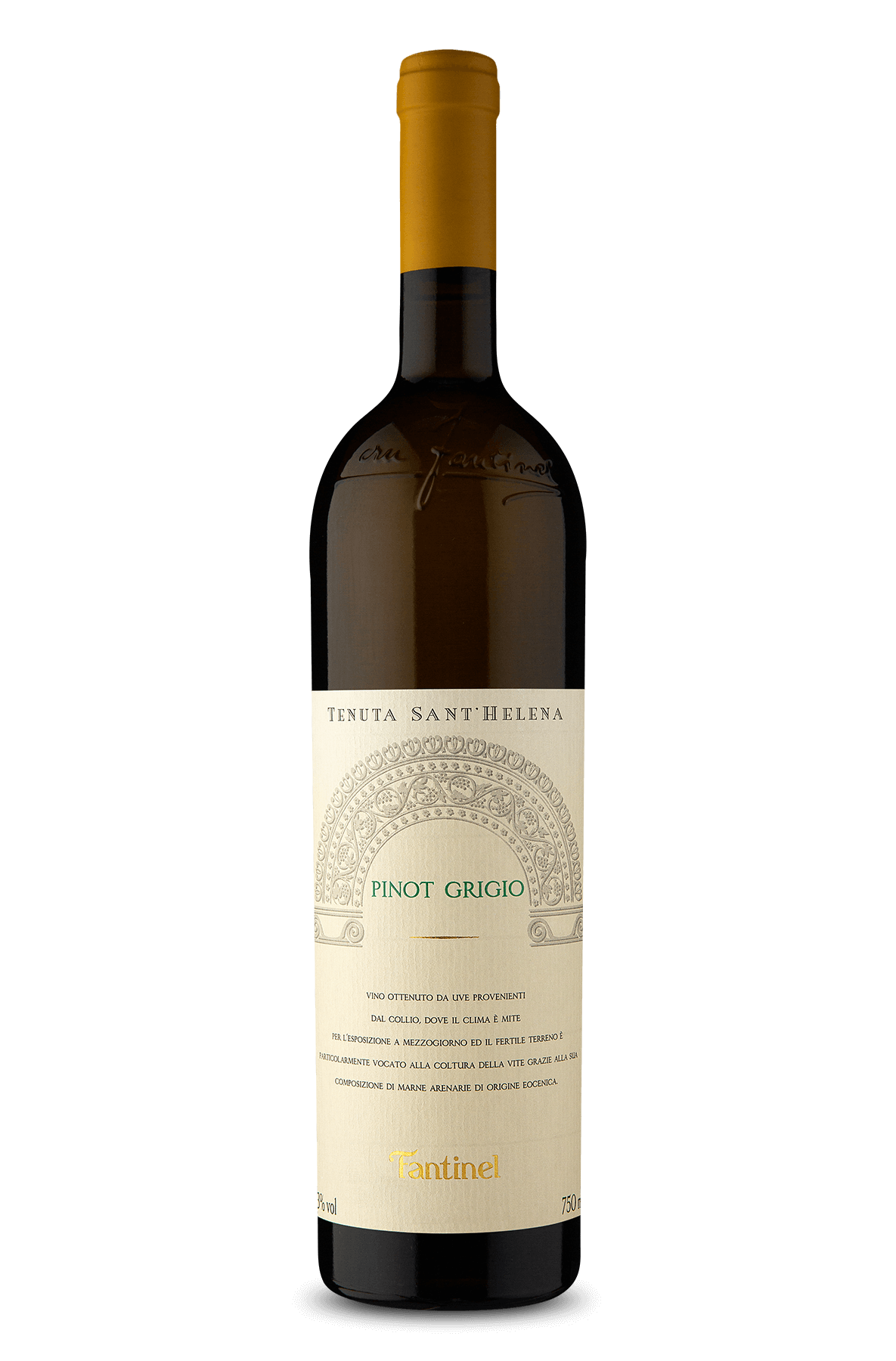 Fantinel Tenuta SantHelena Pinot Grigio 2016 - Wine | Wine