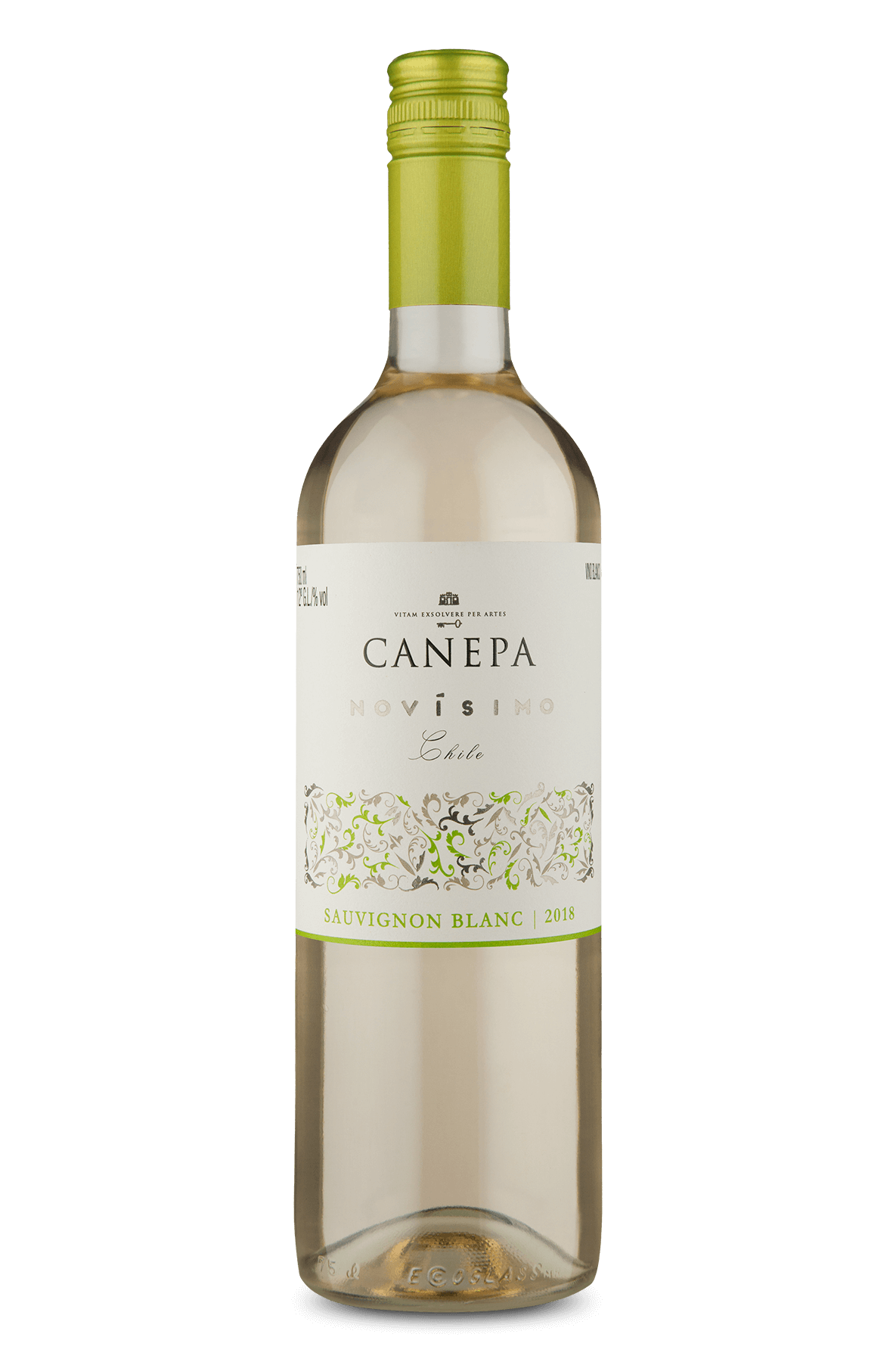 Canepa Novísimo Sauvignon Blanc 2018 - Wine | Wine