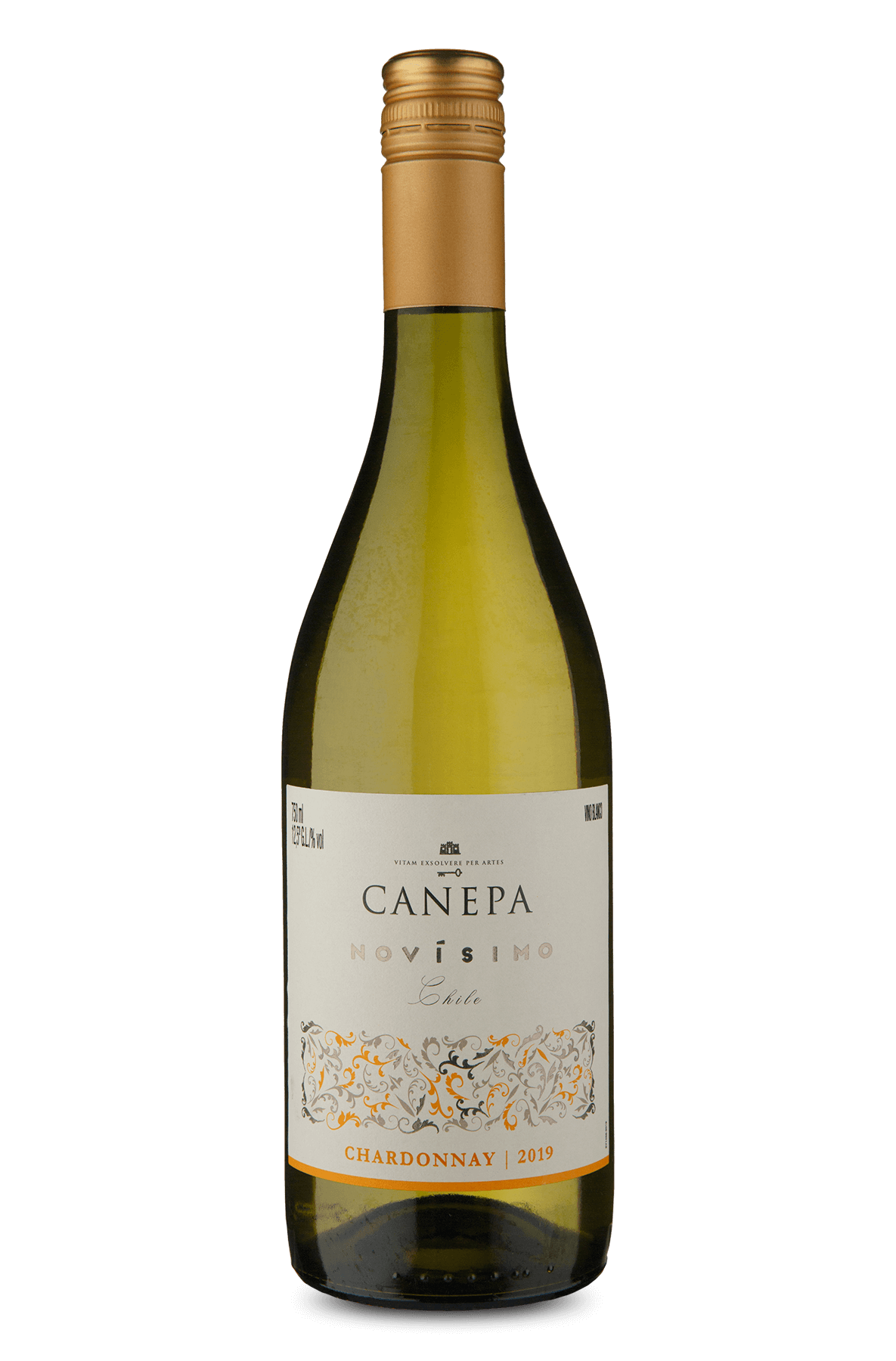 Canepa Novísimo Chardonnay 2019 - Wine | Wine