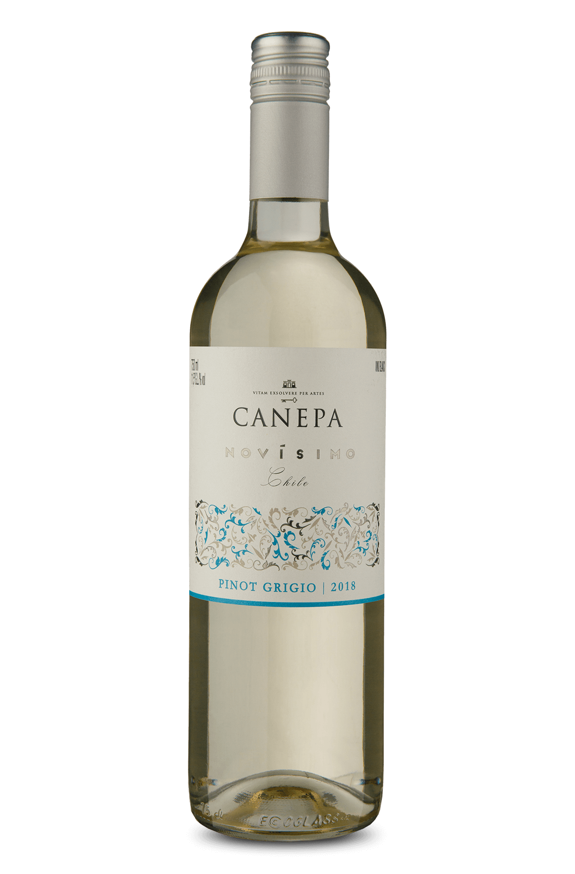 Canepa Novísimo Pinot Grigio 2018 - Wine | Wine