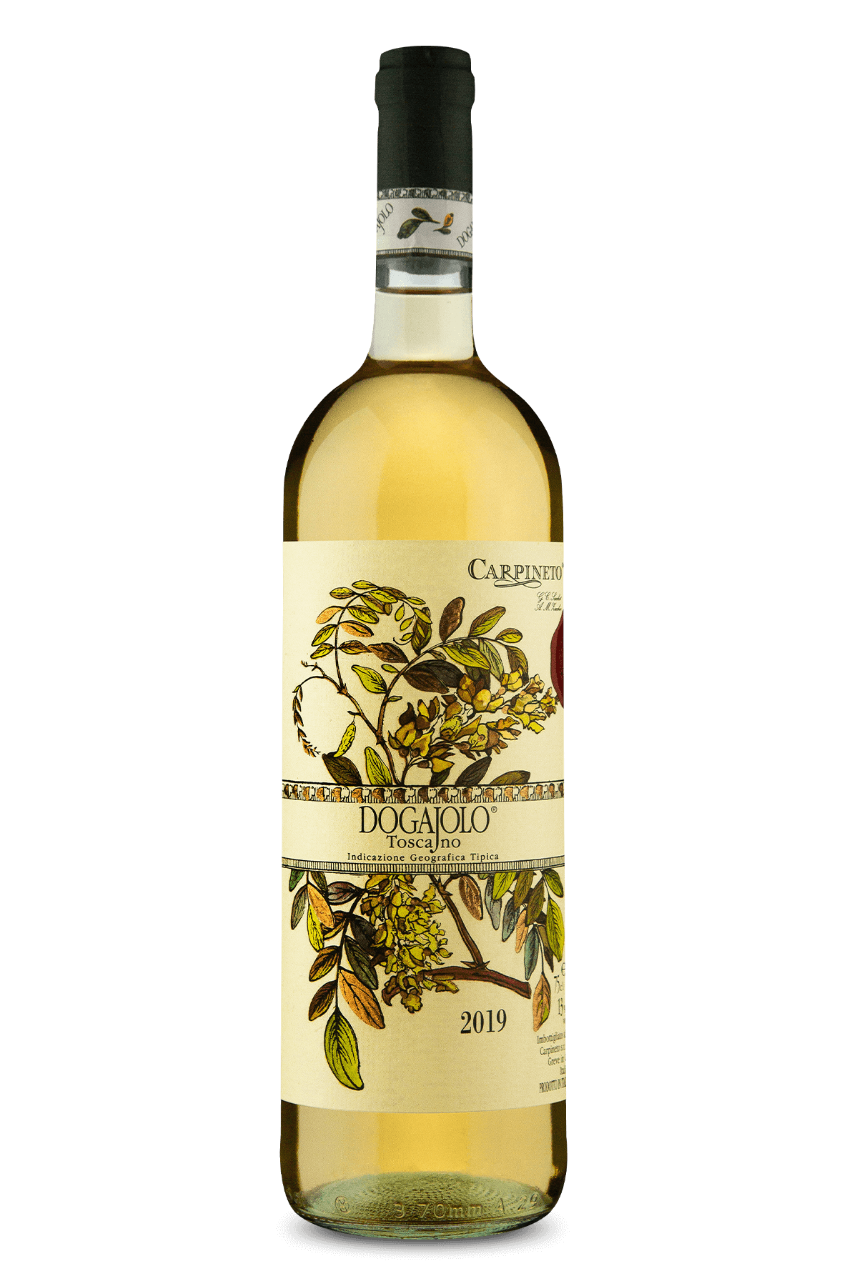 Carpineto Dogajolo I.G.T. Toscano Bianco 2019 - Wine | Wine