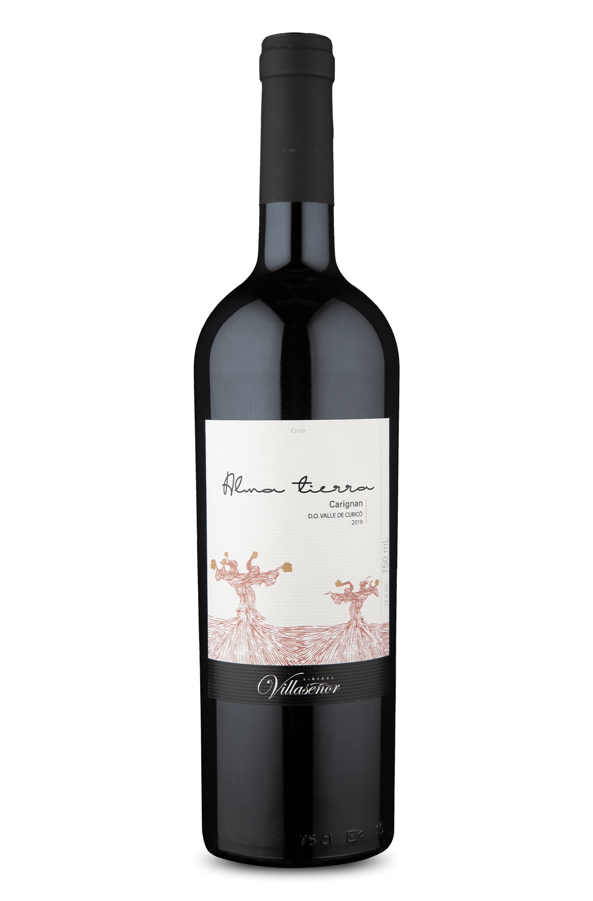 Alma Tierra D.O. Valle de Curicó Carignan 2019 - Wine | Wine