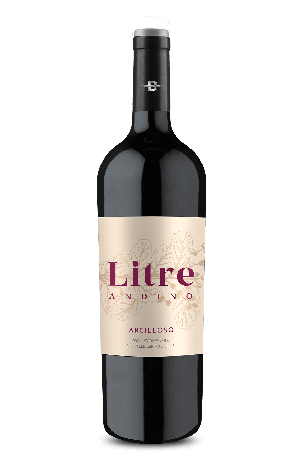 Litre Andino Arcilloso D.O Valle Central Carmenere 2021 - Wine | Wine