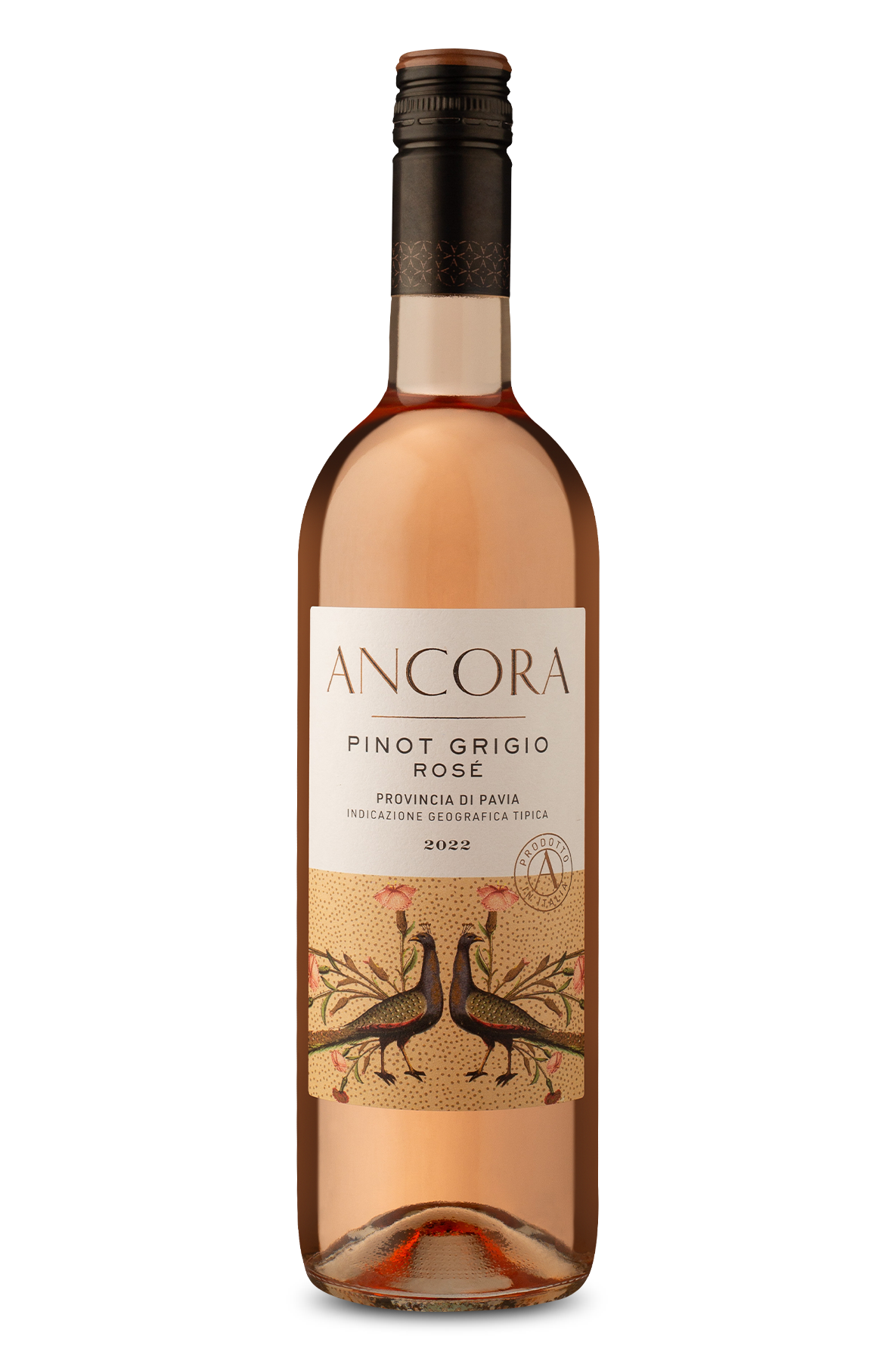 Ancora Provincia di Pavia I.G.T. Pinot Grigio Rosé 2022 - Wine | Wine