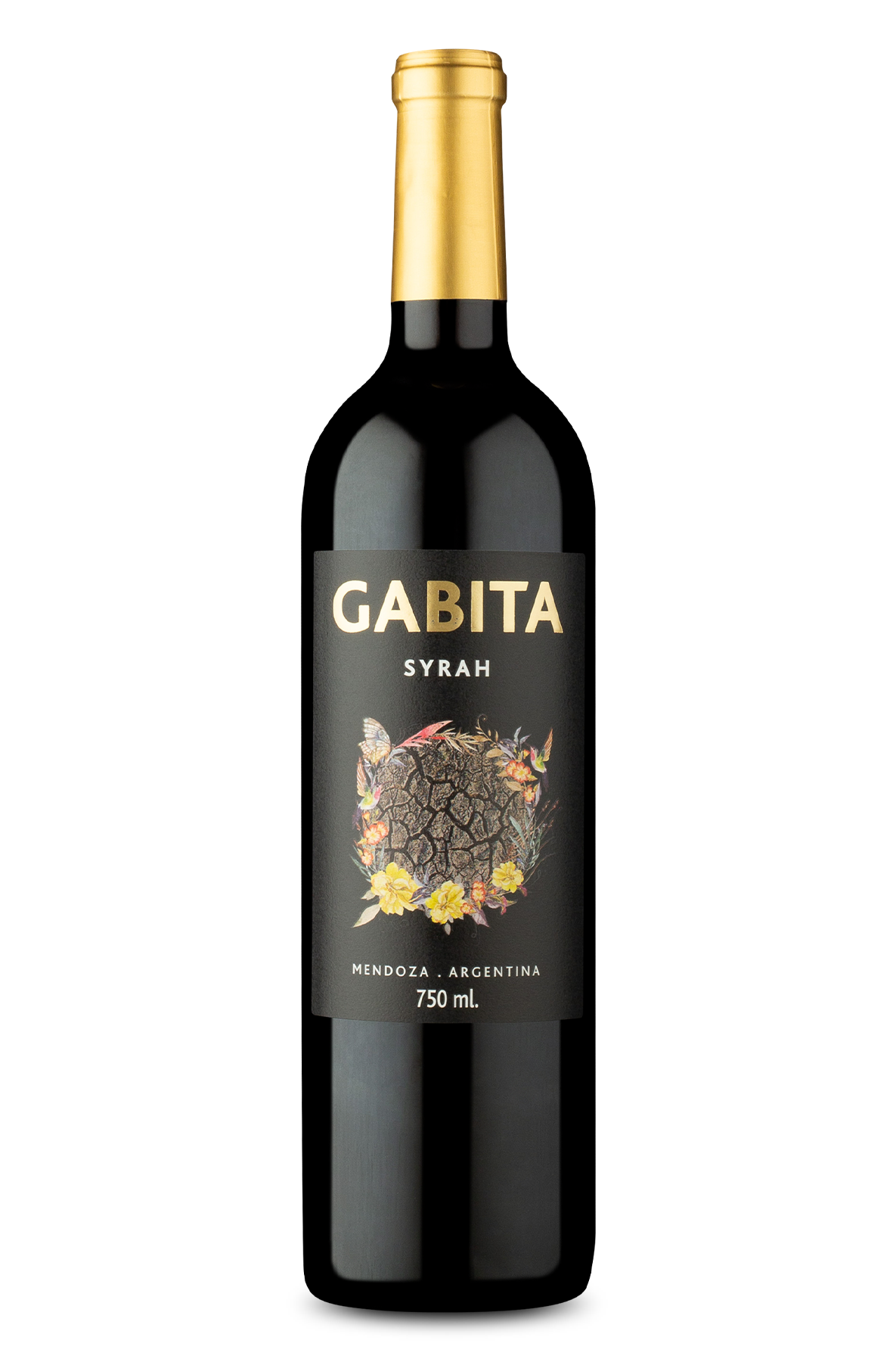 Gabita Syrah 2023 - Wine | Wine