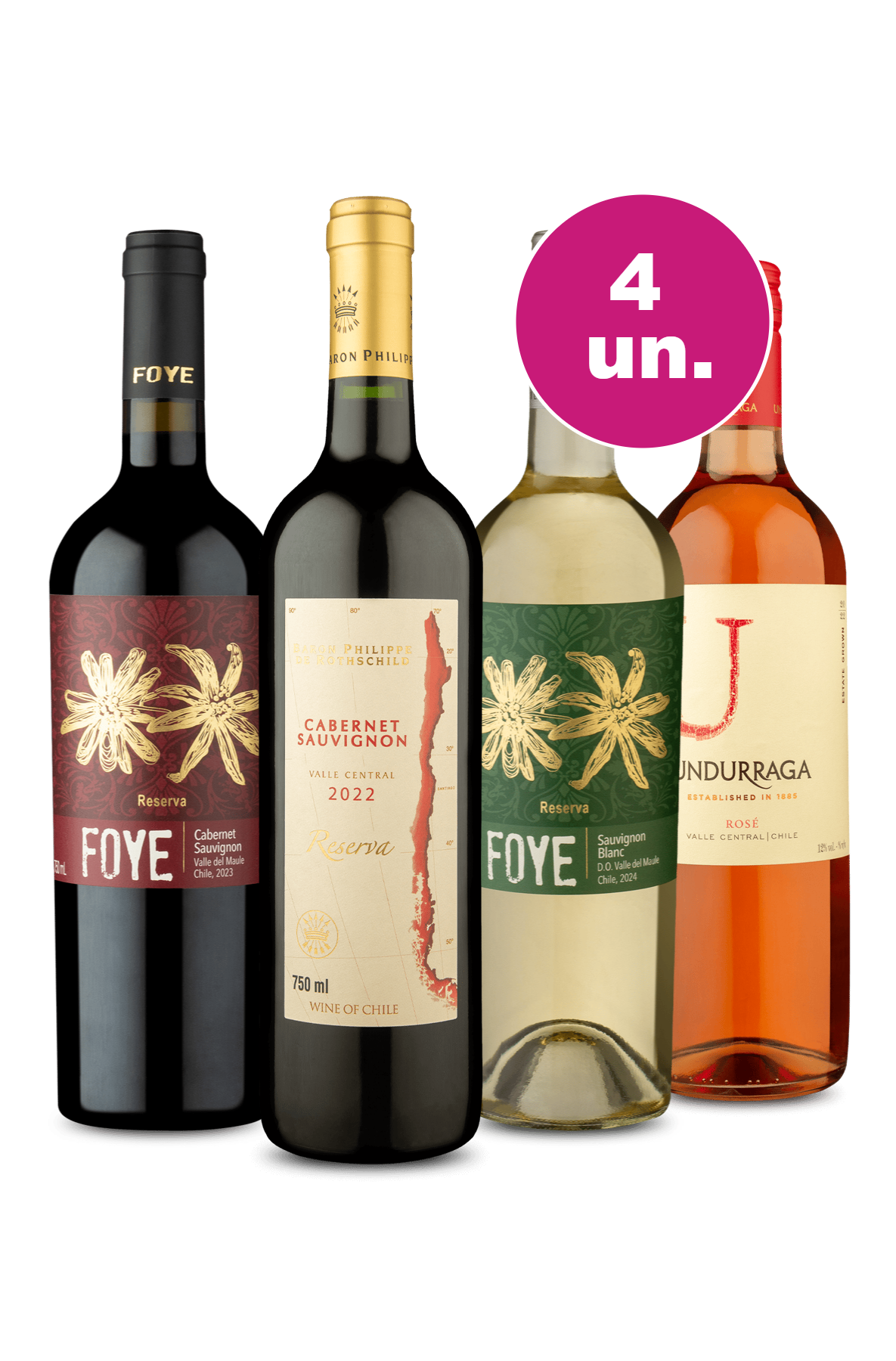 Kit 4 - Vinhos que Encantam - Oferta Flash - Wine | Wine