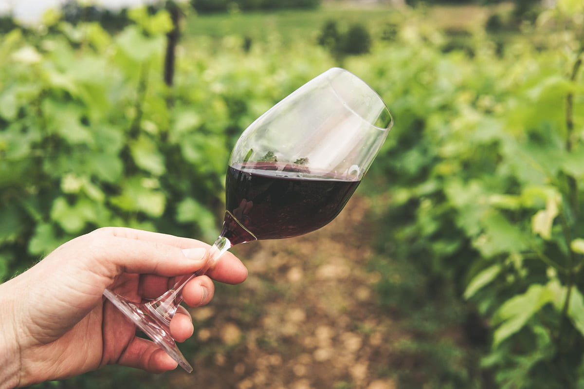 Tudo o que você sempre quis saber sobre Vinho do Porto | Winepedia