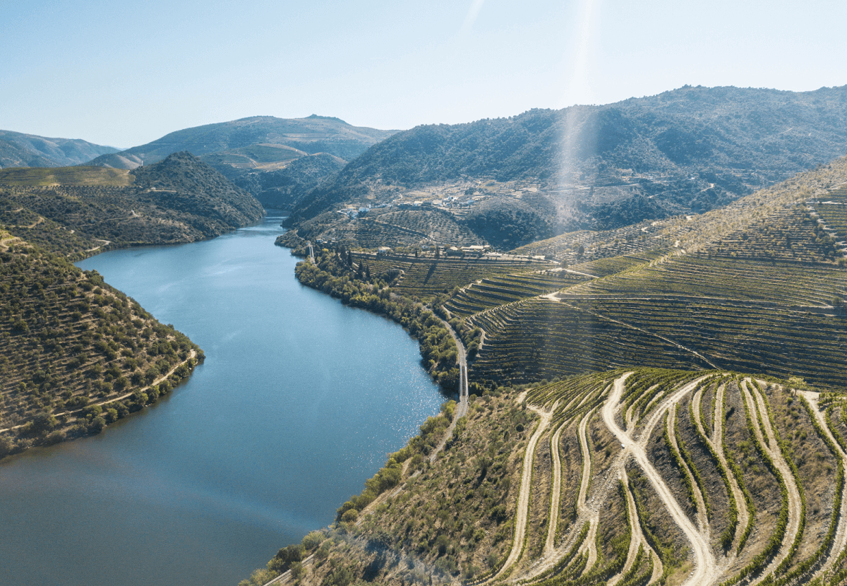 Burmester: uma história tricentenária de excelência no Douro | Winepedia