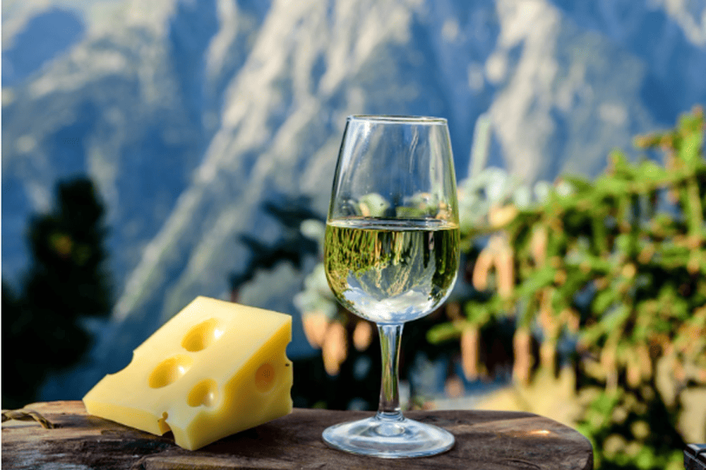 Saiba tudo sobre os vinhos de altitude | Winepedia